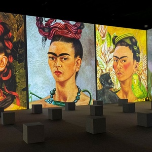 Frida Kahlo: Art and Identity in Latin America | LatAm ARTE
