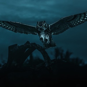 Gallery Of Photography By Dylan Furst - Canada | LatAm ARTE